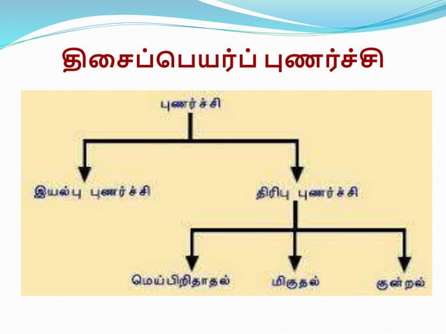 THISAI PEYAR PUNACHI.pptx