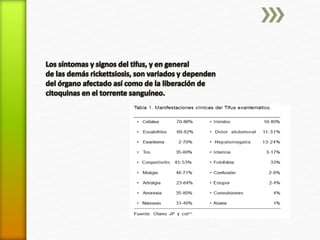 5.TIFUS.pptx