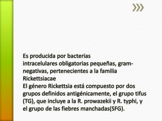 5.TIFUS.pptx