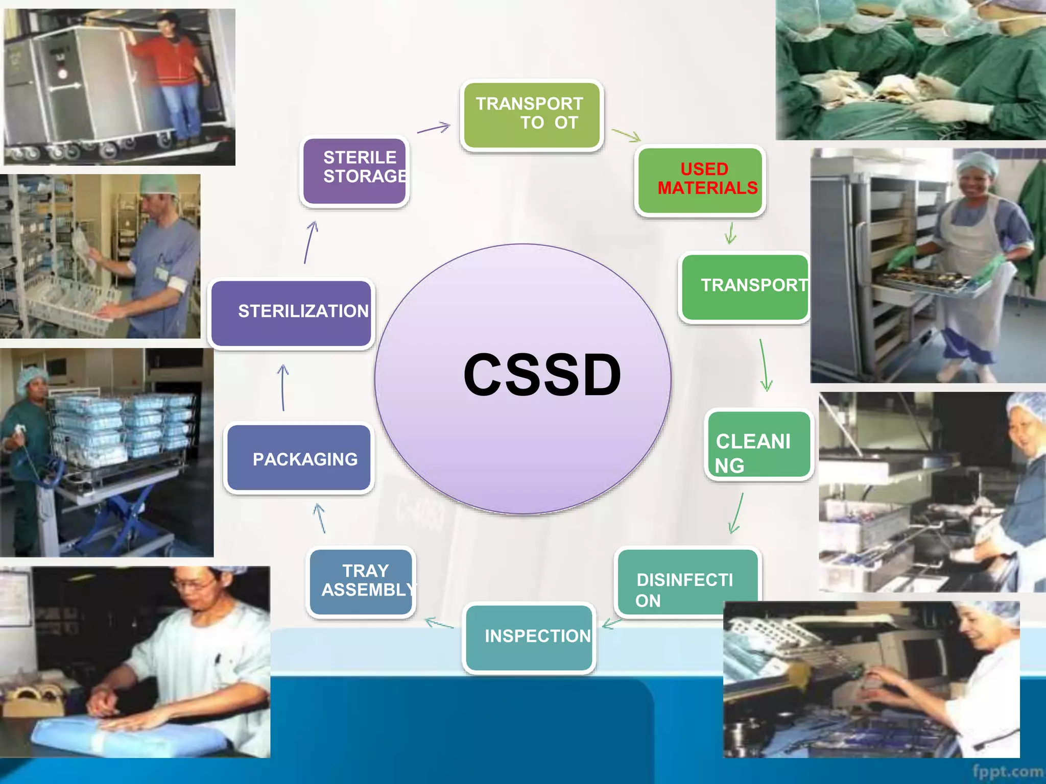 5. CSSD PPT.pptx