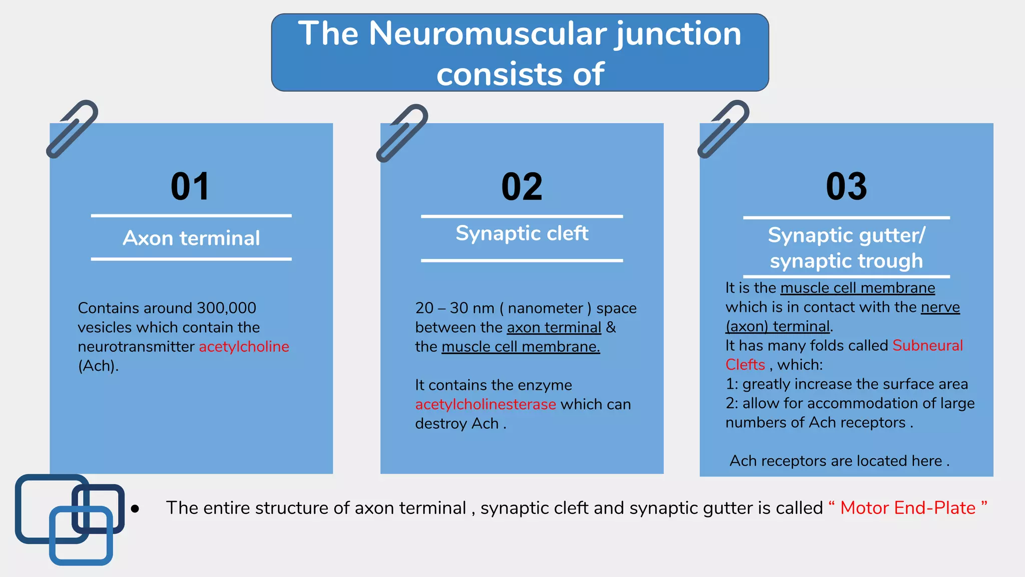 5. Neuromuscular transmission .pdf