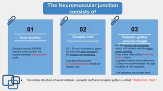 5. Neuromuscular transmission .pdf