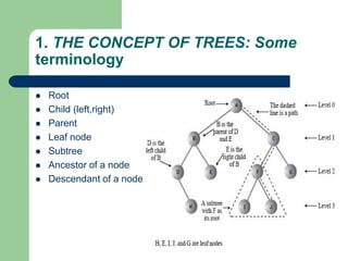 tree.ppt