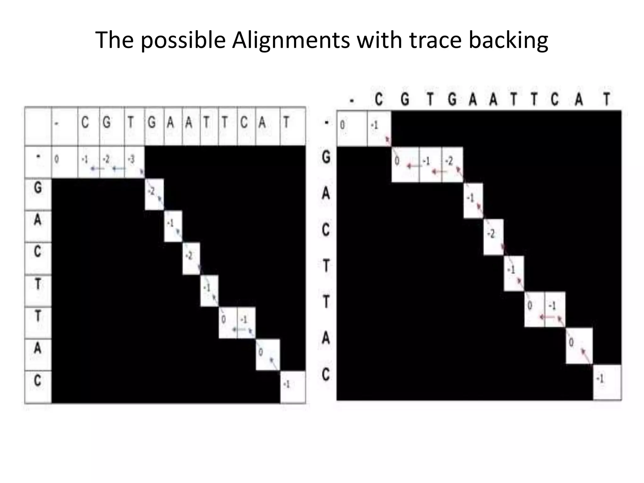5 Global And Local Alignment Algorithmspptx Genetics Science