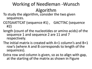 5. Global and Local Alignment Algorithms.pptx