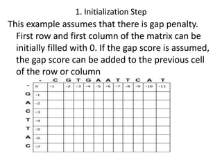 5. Global and Local Alignment Algorithms.pptx