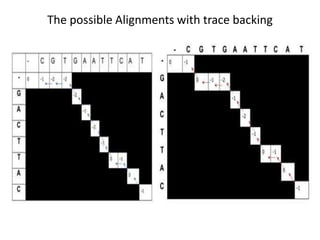 5. Global and Local Alignment Algorithms.pptx