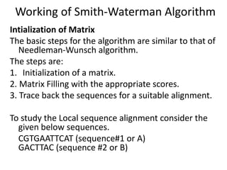 5. Global and Local Alignment Algorithms.pptx