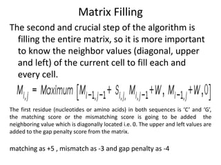 5. Global and Local Alignment Algorithms.pptx