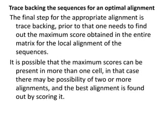 5. Global and Local Alignment Algorithms.pptx
