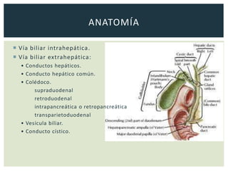 5. VESÍCULA BILIAR.ppt