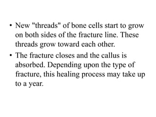 5.Fractures (Broken Bones).ppt