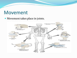 5. Terms of movement.pptx