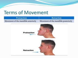 5. Terms of movement.pptx