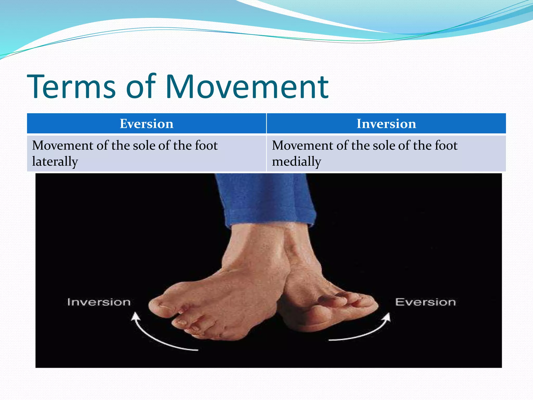 5. Terms of movement.pptx