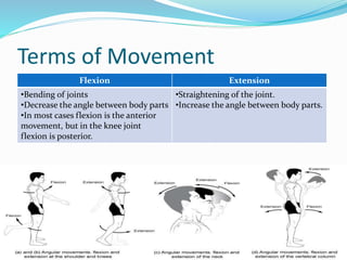 5. Terms of movement.pptx