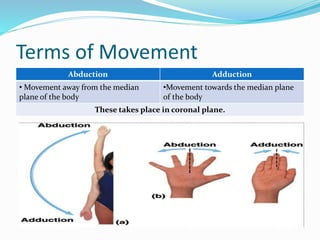 5. Terms of movement.pptx