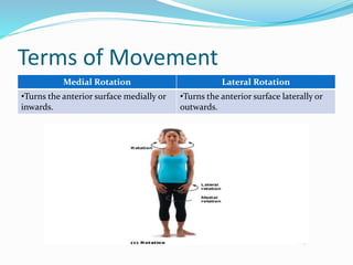 5. Terms of movement.pptx