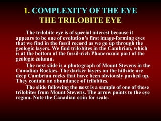 5. DARWIN AND THE EYE: Part 2, Complex Eyes | PDF