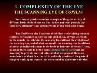5. DARWIN AND THE EYE: Part 2, Complex Eyes | PDF