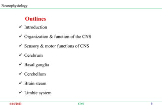 5. CNS.ppt