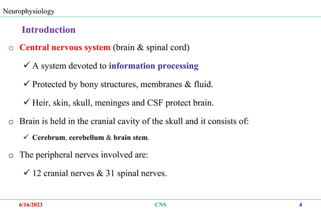 5. CNS.ppt