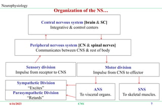 5. CNS.ppt