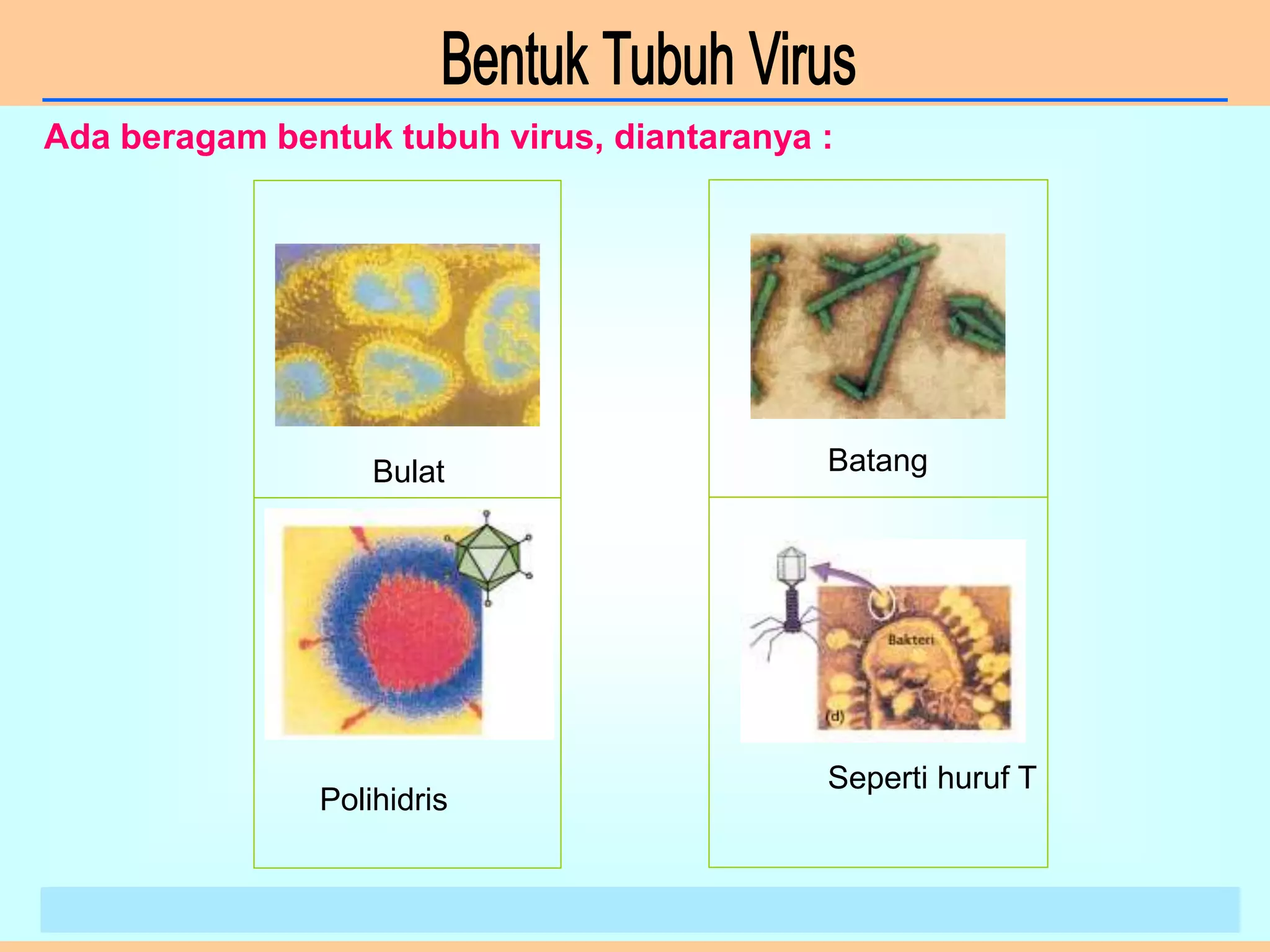5. PPT ciri dan struktur virus.ppt
