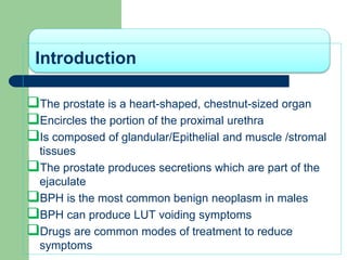 5. BPH.pptx