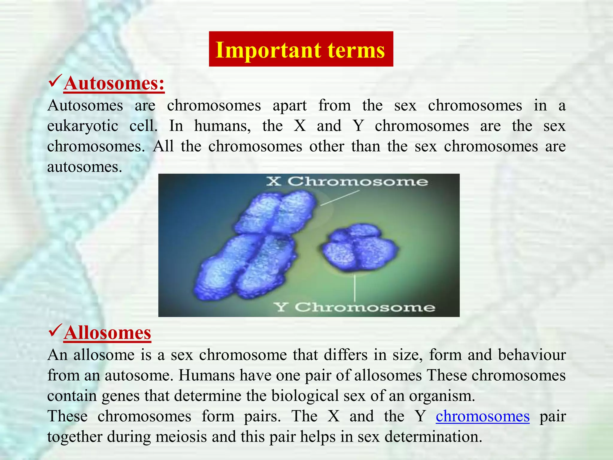 5. Architecture of chromosome.pdf