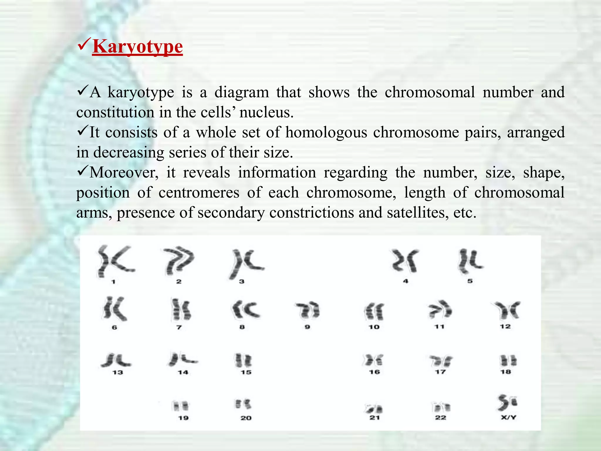 5. Architecture of chromosome.pdf