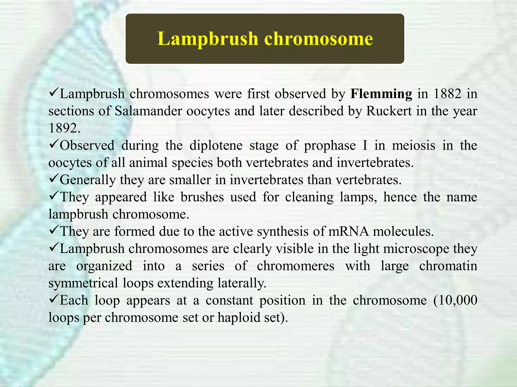 5. Architecture of chromosome.pdf