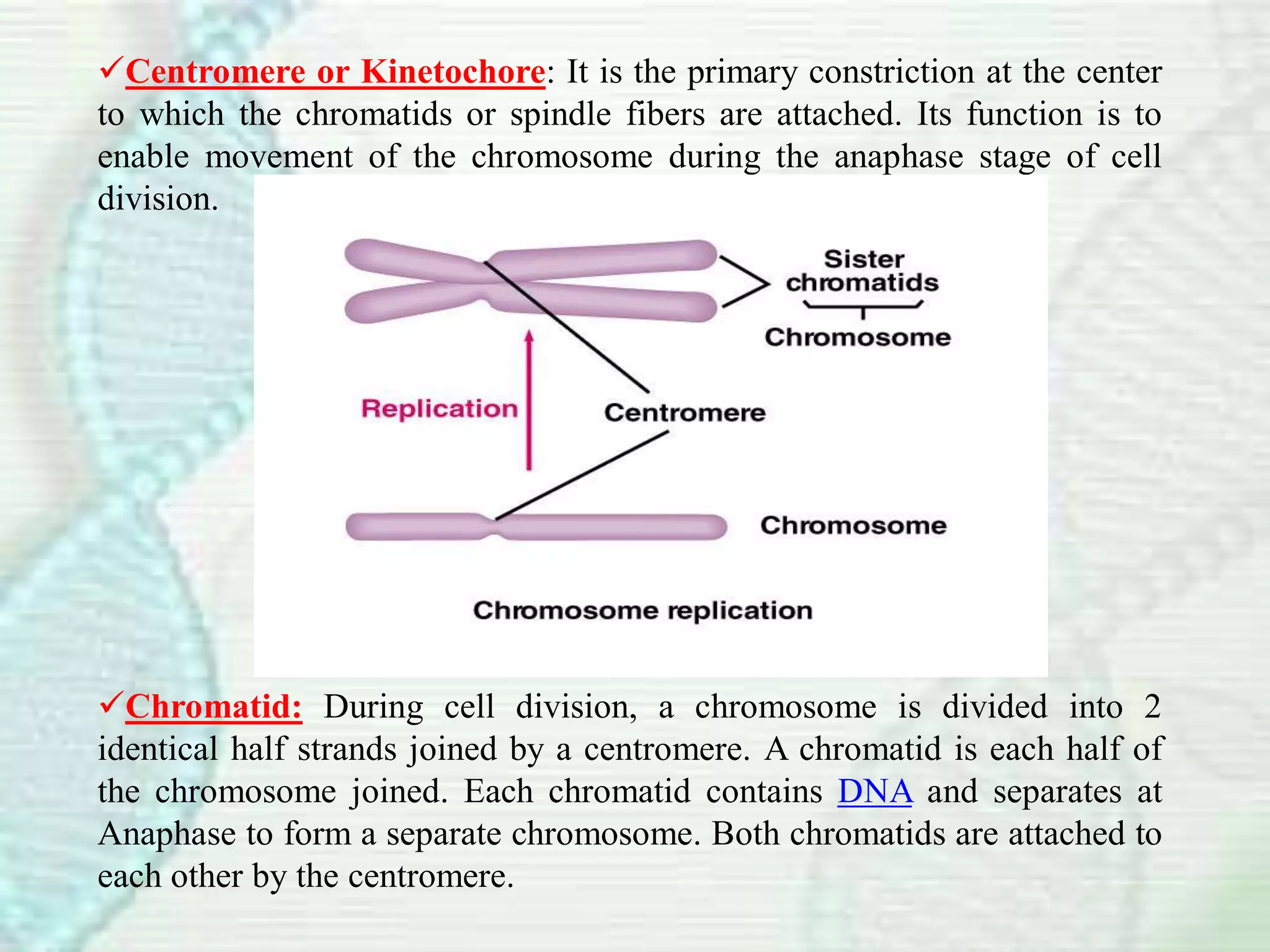 5. Architecture of chromosome.pdf