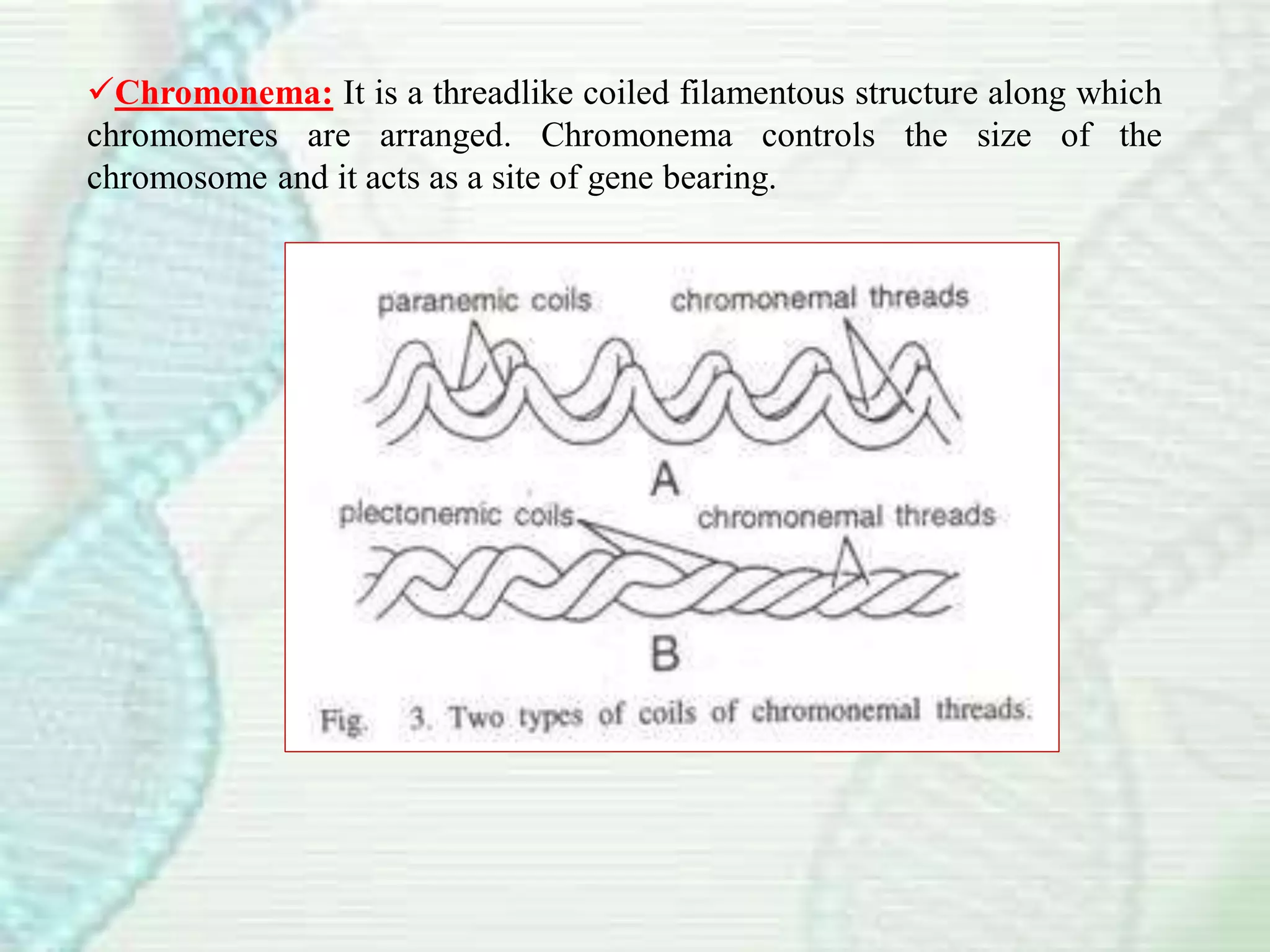 5. Architecture of chromosome.pdf