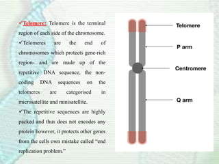 5. Architecture of chromosome.pdf