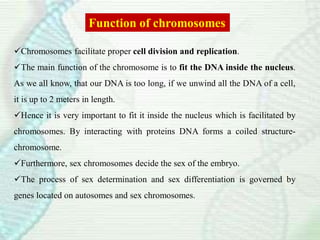 5. Architecture of chromosome.pdf