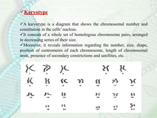 5. Architecture of chromosome.pdf
