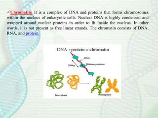 5. Architecture of chromosome.pdf