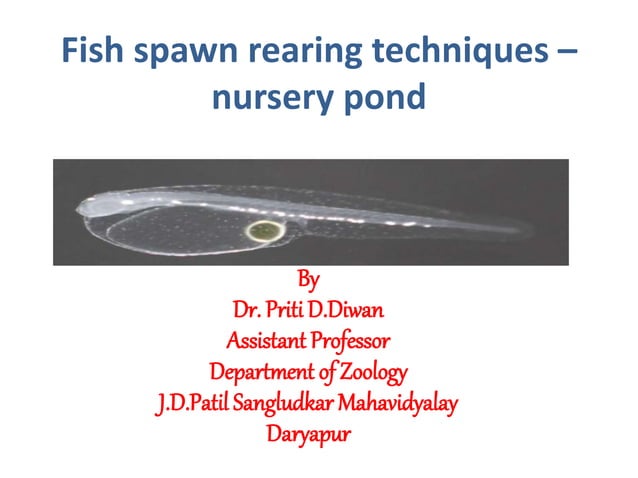 Fish spawn rearing in nursery pond.pptx | Zoos & Aquariums | Attractions