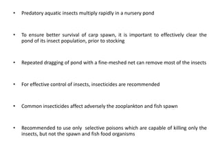 Fish spawn rearing in nursery pond.pptx