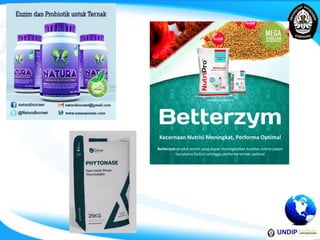 5. PERANAN ENZYM DALAM BIOTEKNOLOGI PAKAN.pdf