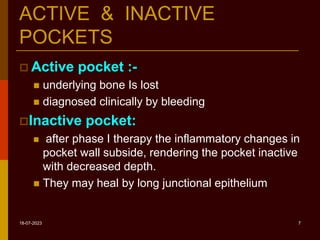 5.pocket.pptx