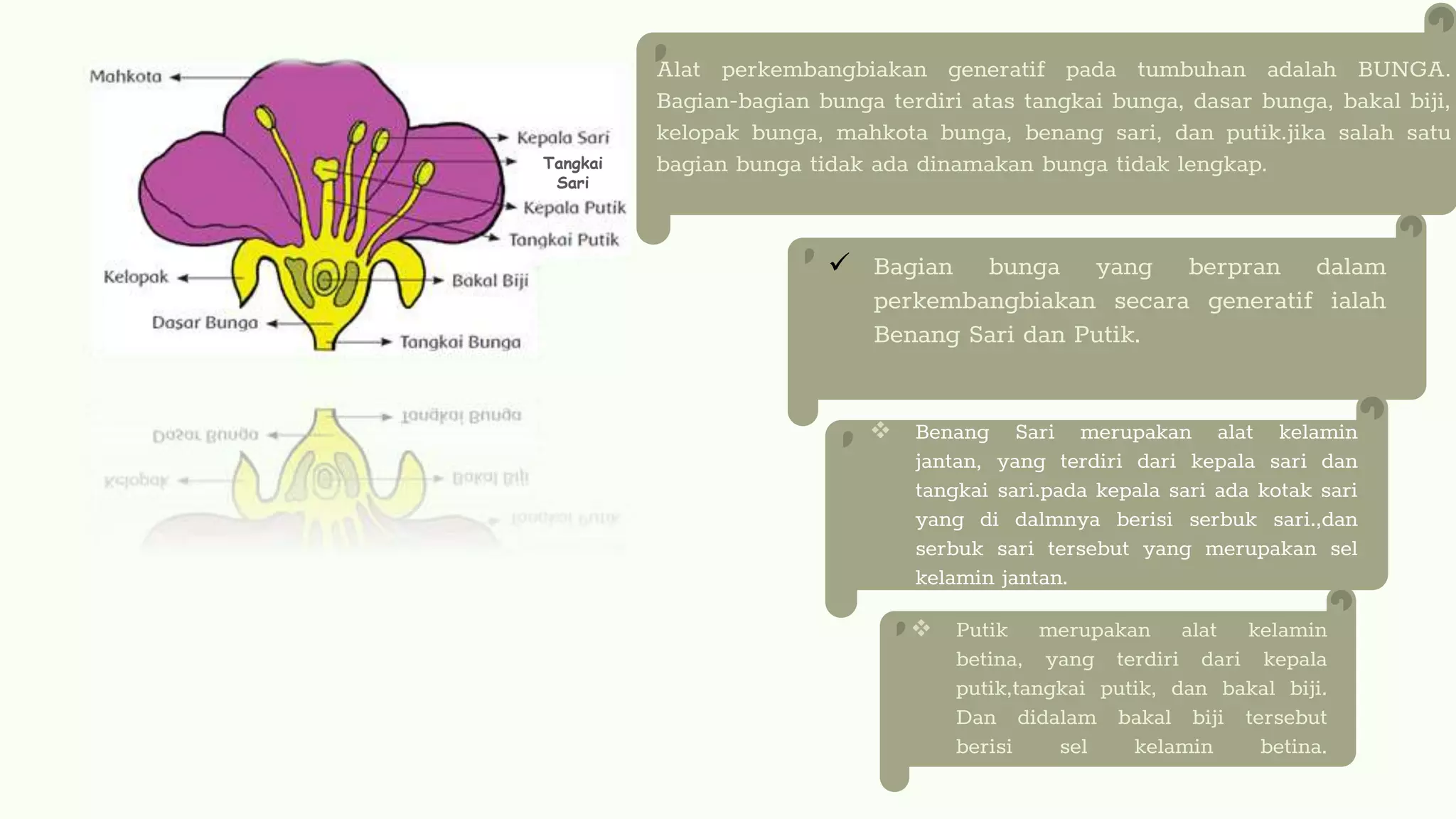 5. (KELAS C) ppt Biologi perkembangbiakan tumbuhan kelompok 7.pptx