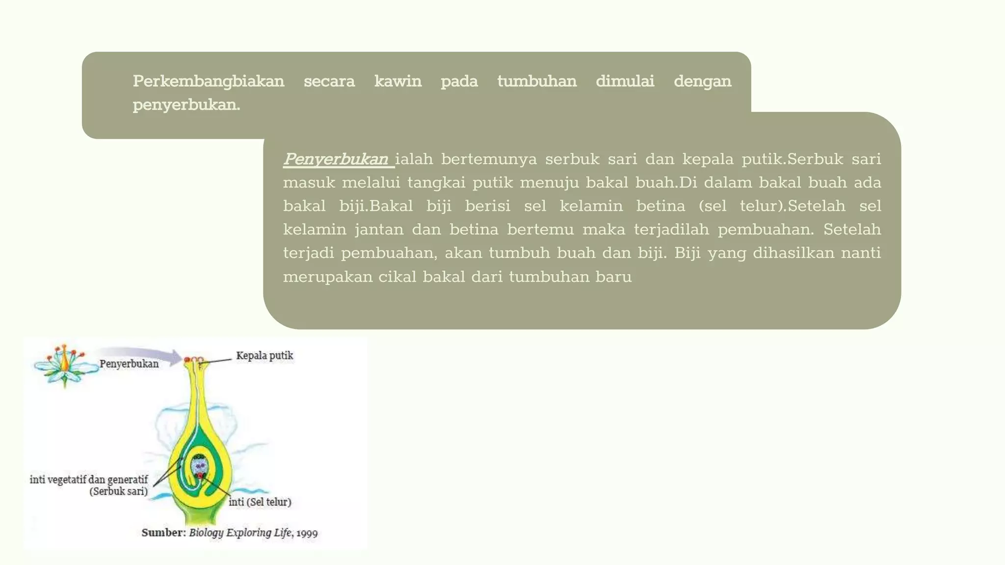 5. (KELAS C) ppt Biologi perkembangbiakan tumbuhan kelompok 7.pptx