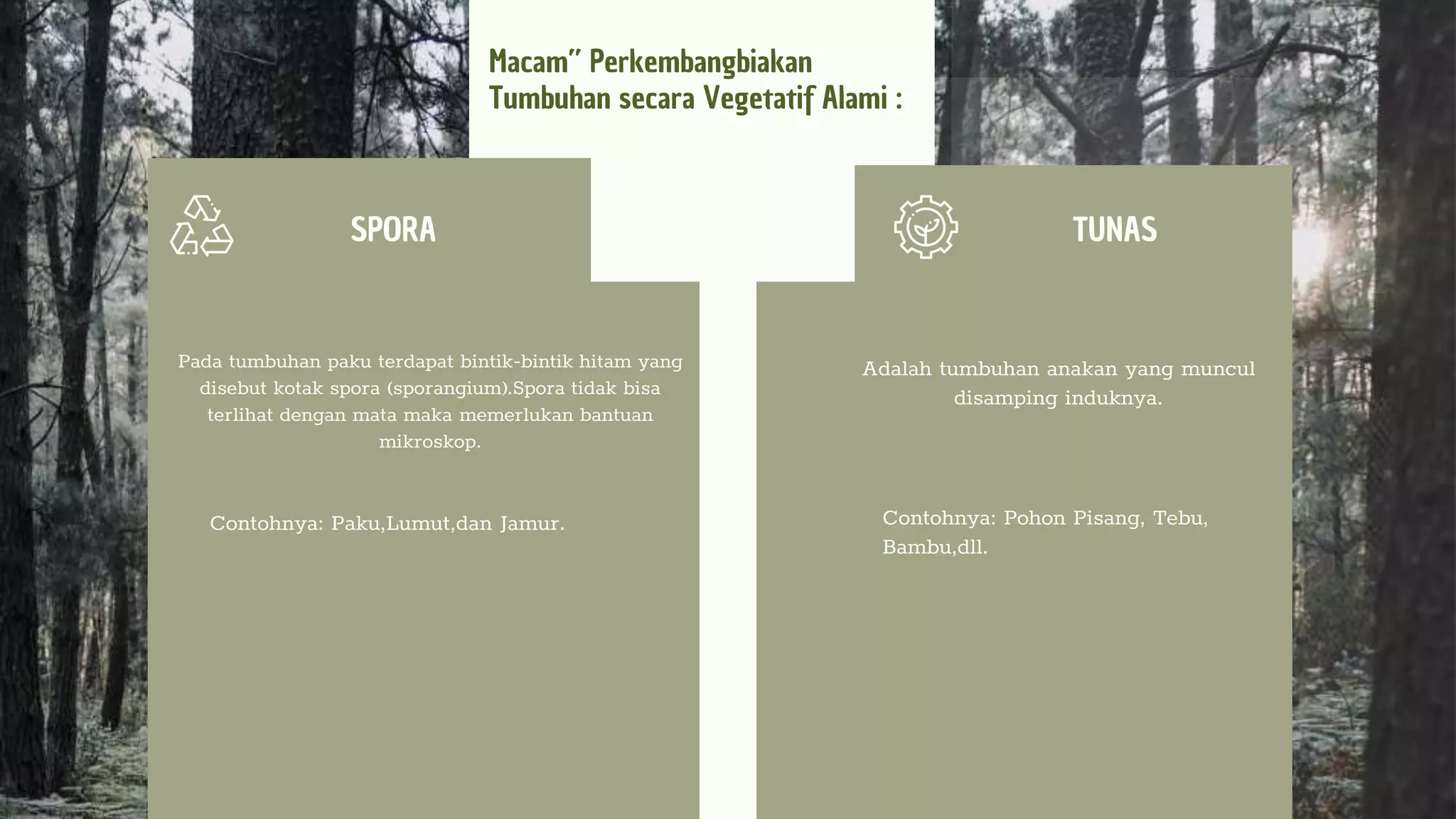 5. (KELAS C) ppt Biologi perkembangbiakan tumbuhan kelompok 7.pptx