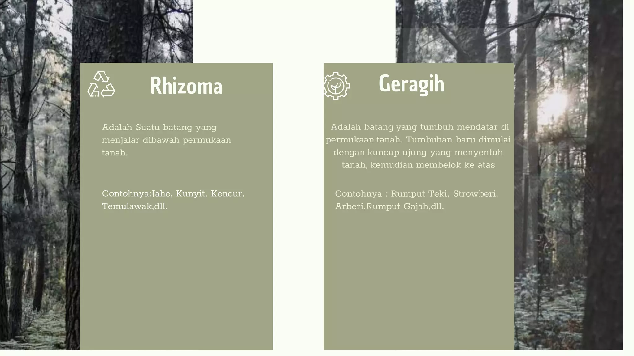 5. (KELAS C) ppt Biologi perkembangbiakan tumbuhan kelompok 7.pptx