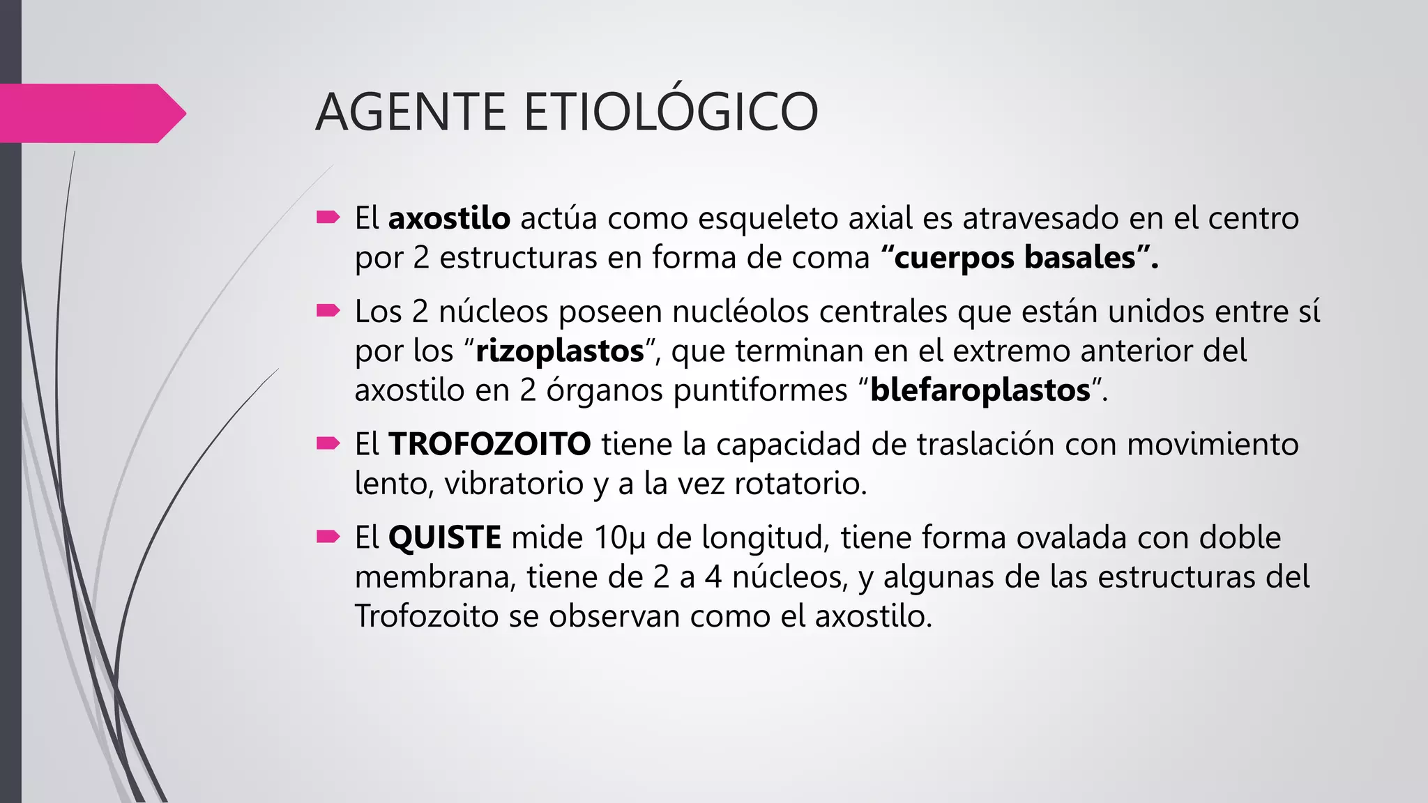 GIARDIASIS.pptx