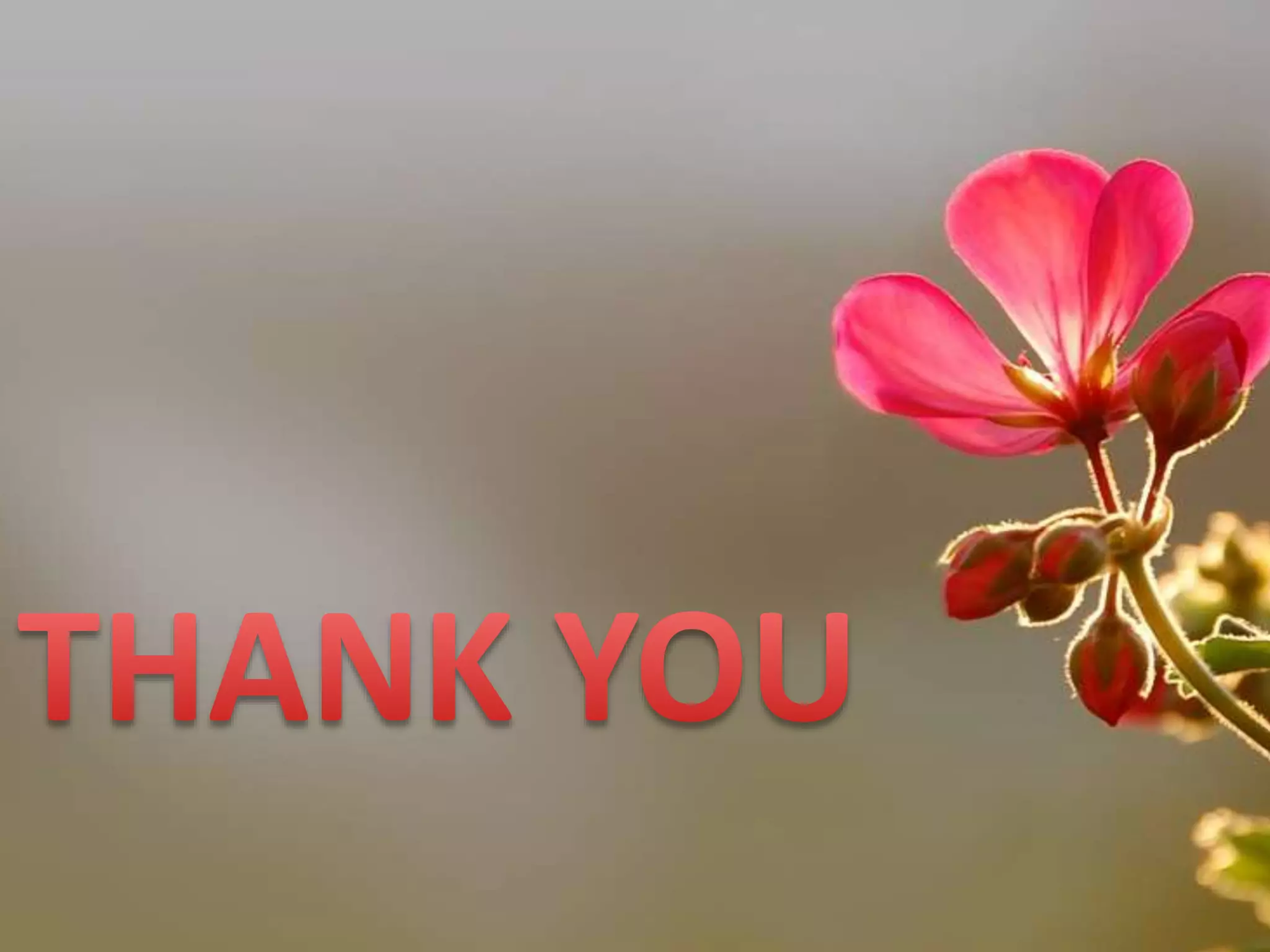 Education for childbirth | PPTX