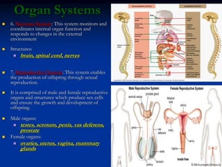 5..Tissue and Organ System pptx | PPTX