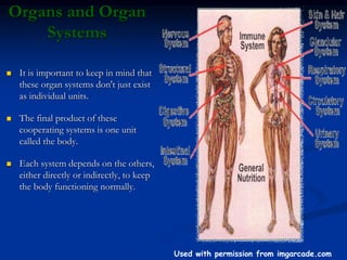 5..Tissue and Organ System pptx | PPTX